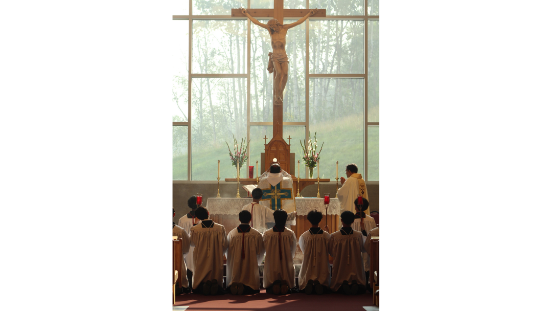 Young men create fraternity of altar servers to promote love of Jesus ...